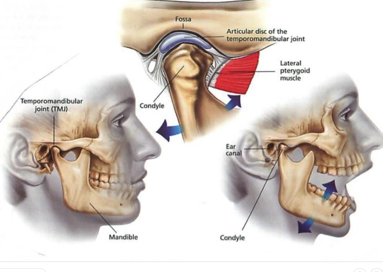 Understanding TMJ Massage: A Comprehensive Guide - Carolina Pintos Therapy Understanding TMJ Massage: A Comprehensive Guide - Carolina Pintos Therapy